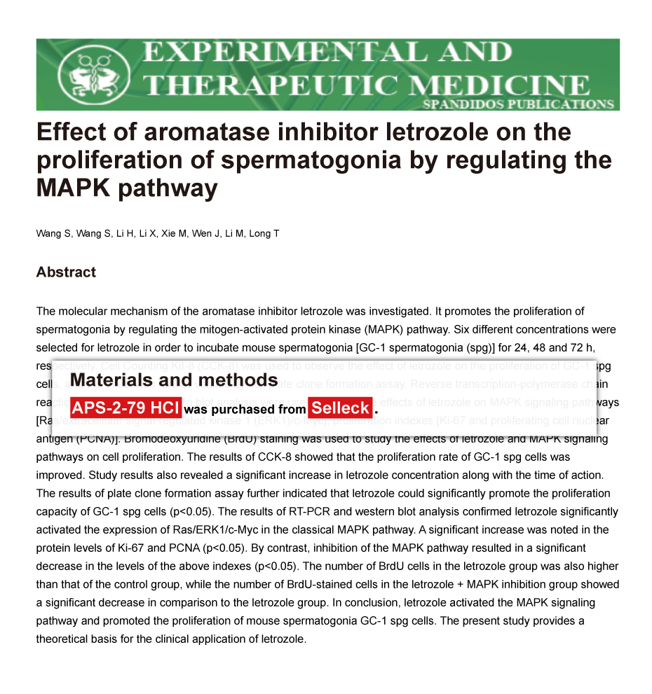 MEK阻害 | MEK Inhibition