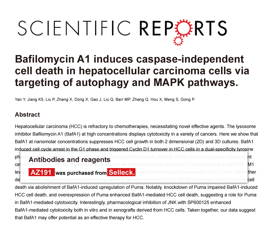 AZ191 | DYRK 阻害剤