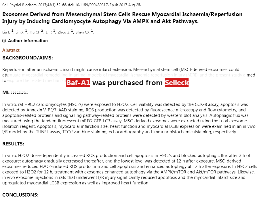 Bafilomycin A1 (Baf-A1) | プロトンポンプ 阻害剤