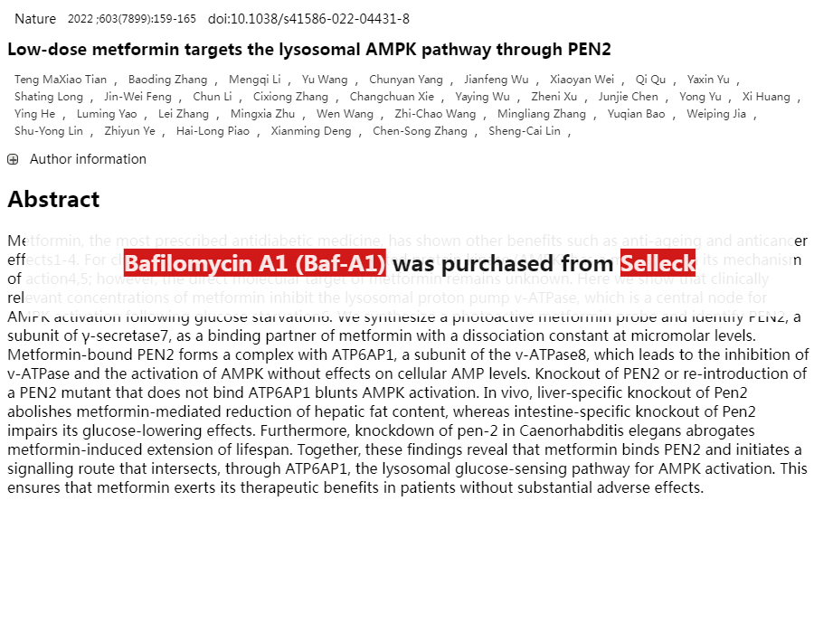 Bafilomycin A1 (Baf-A1) | プロトンポンプ 阻害剤