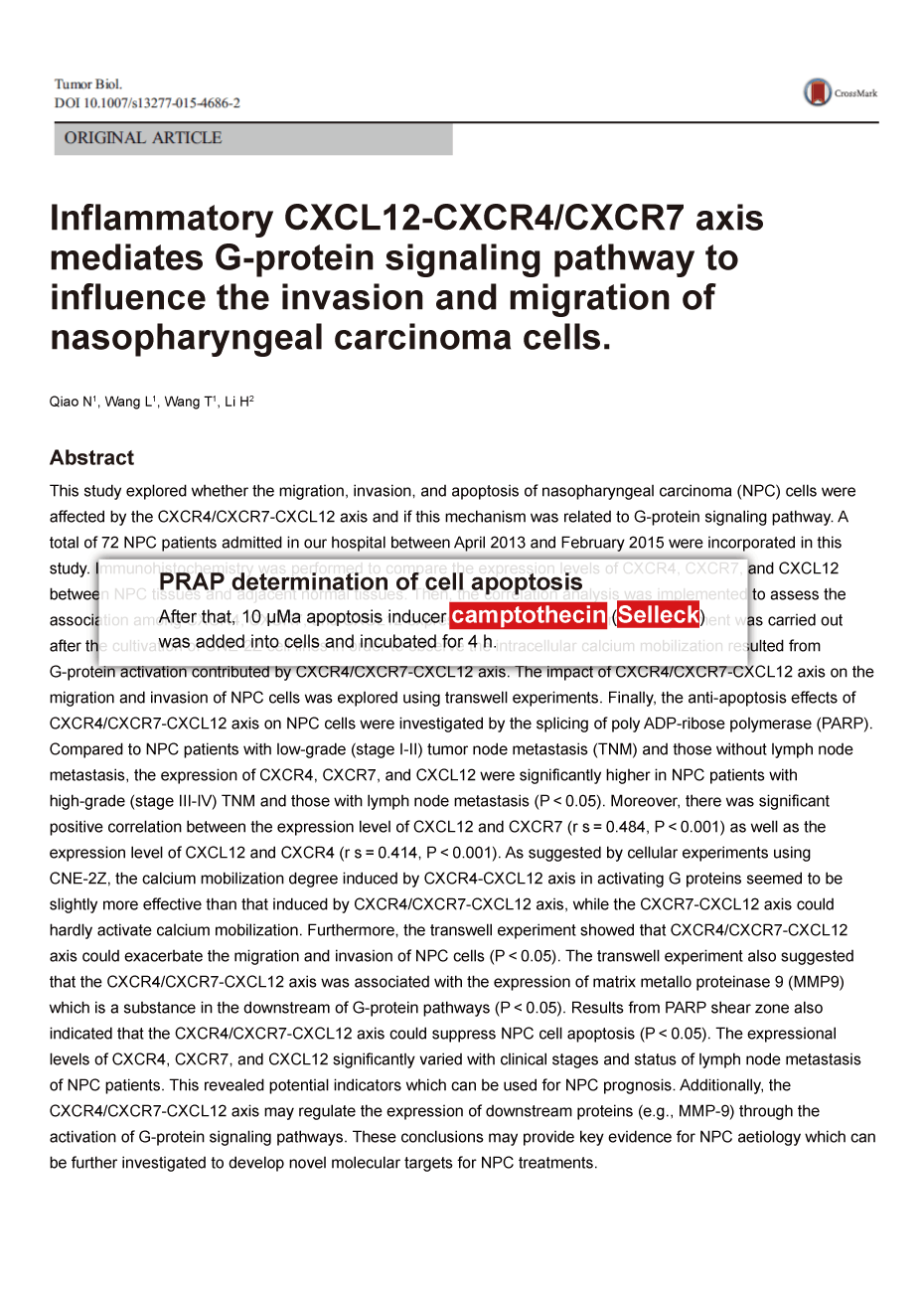 Camptothecin (NSC-100880) | ADC Cytotoxin 阻害剤