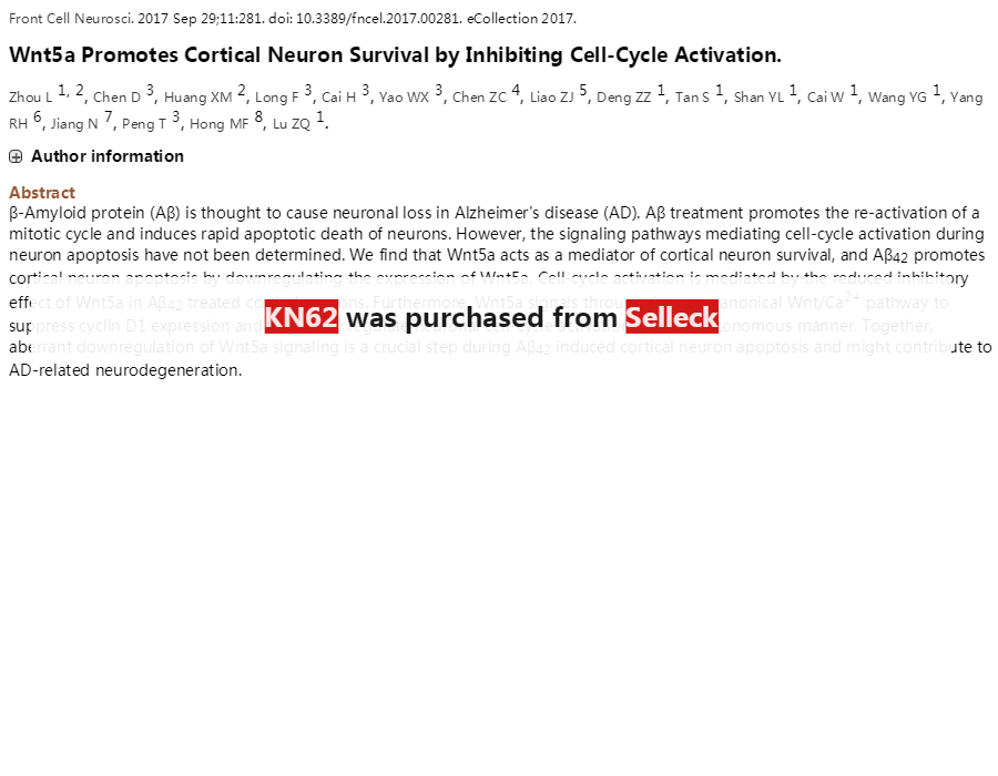 KN-62 | CaMK 阻害剤