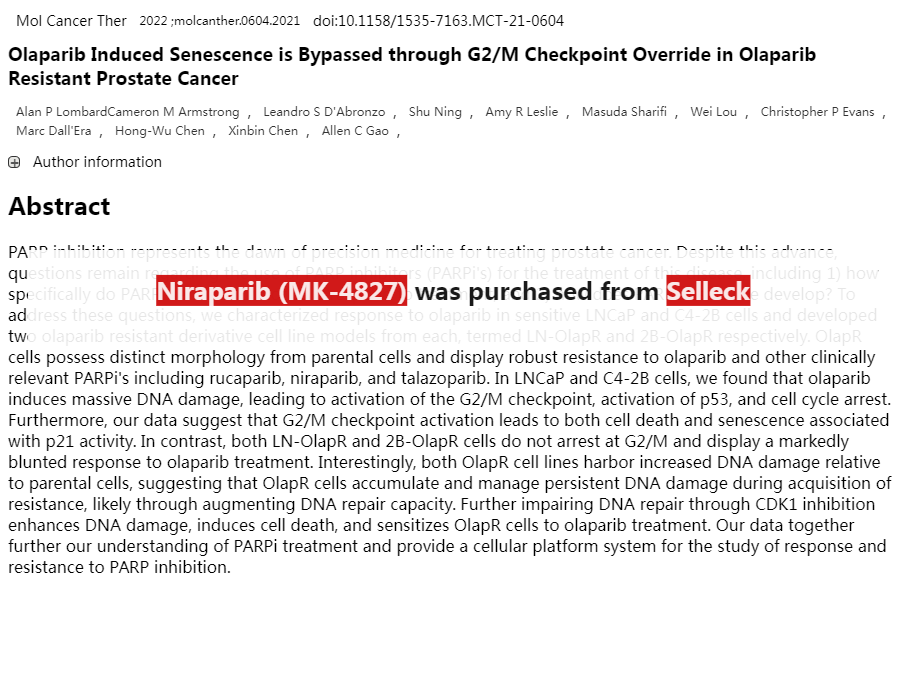 PARP阻害 | PARP Inhibition