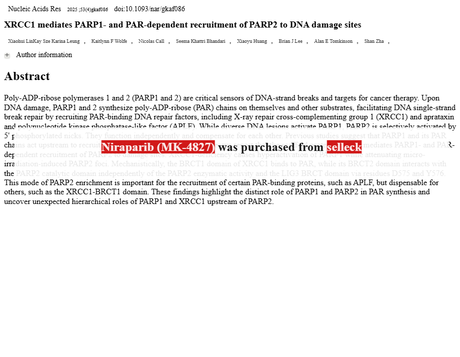 PARP阻害 | PARP Inhibition