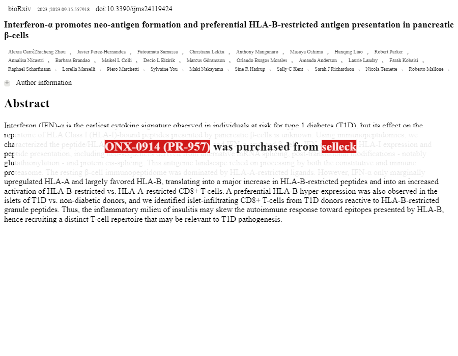 プロテアソーム阻害 | Proteasome Inhibition