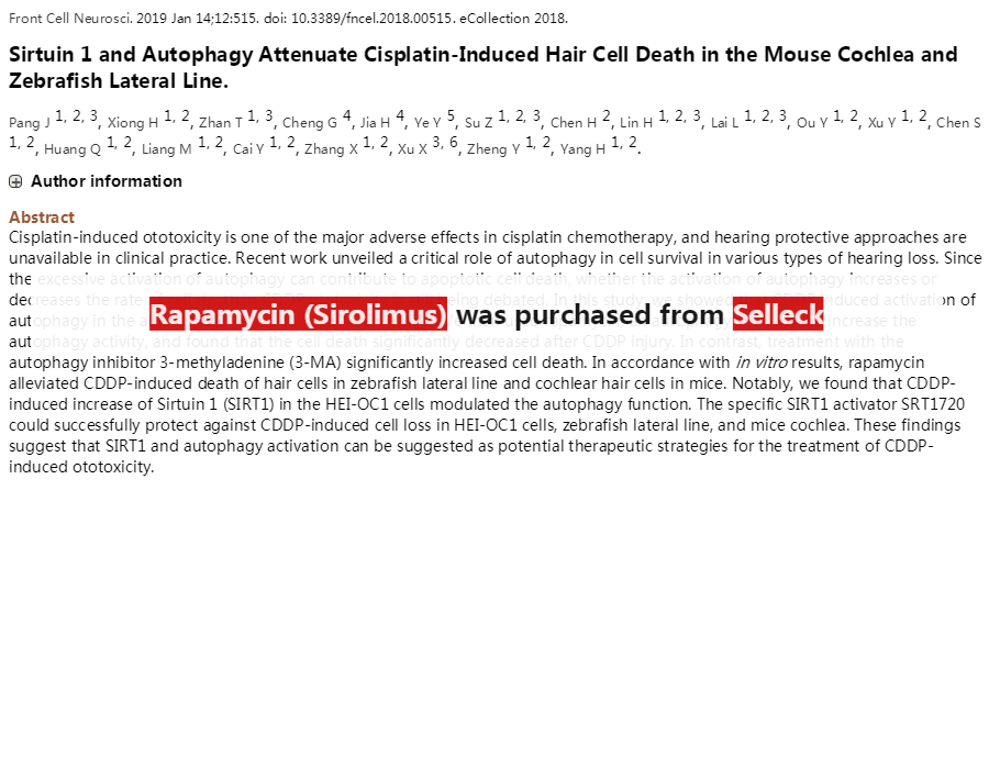Rapamycin (AY-22989) | mTOR 阻害剤