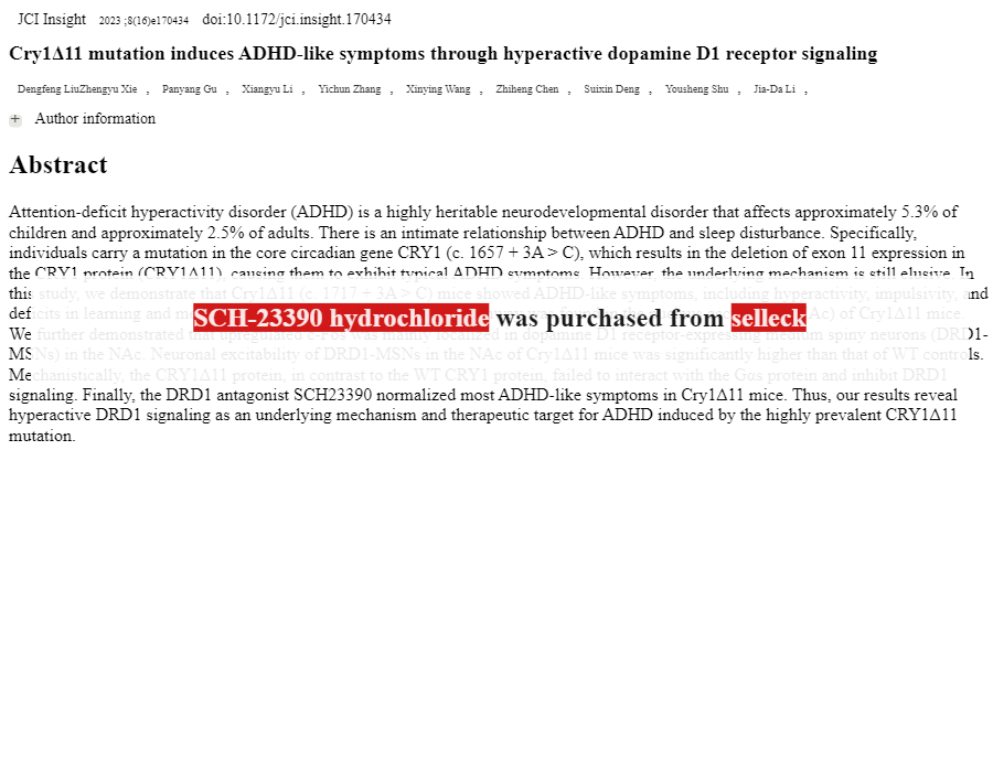 カリウムチャネル阻害 | Potassium Channel Inhibition