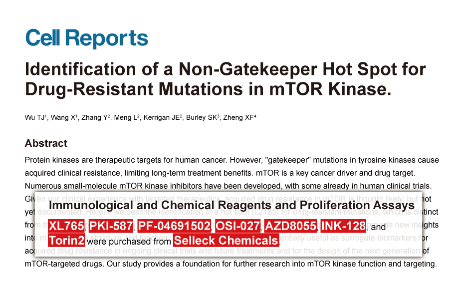 mTOR阻害 | mTOR Inhibition