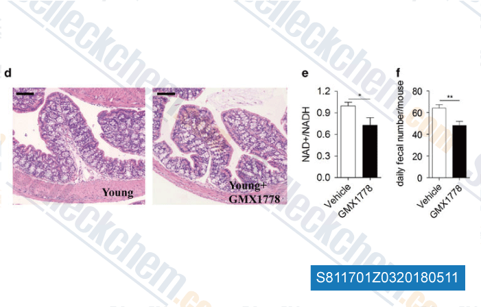 NAMPT Inhibition | NAMPT Inhibitor Review NAMPT Inhibition | NAMPT Inhibitor Review