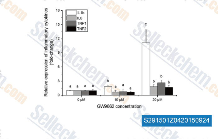 GW9662 | PPAR 阻害剤