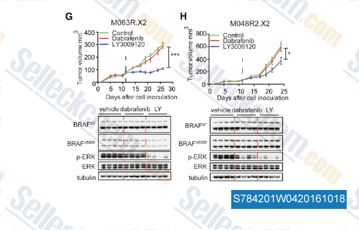 LY3009120 | Raf 阻害剤
