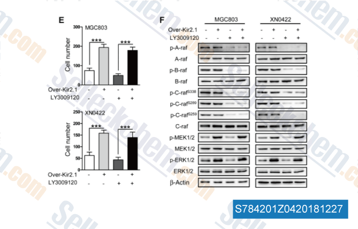 LY3009120 | Raf 阻害剤