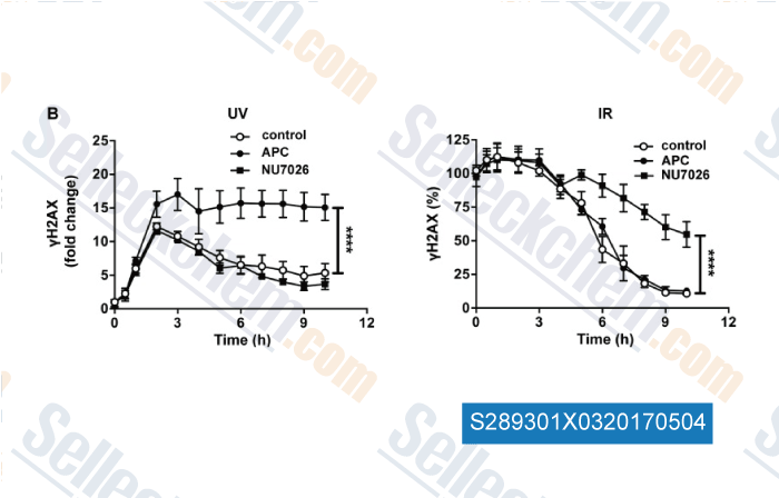 NU7026 | DNA-PK 阻害剤