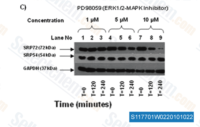 PD98059 | MEK 阻害剤