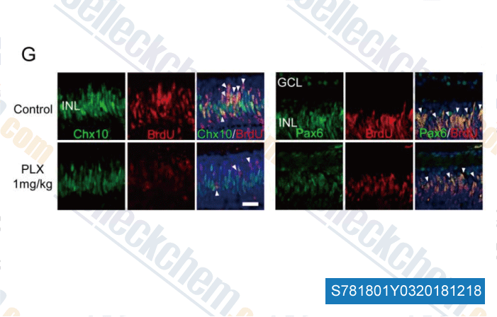 Pexidartinib (PLX3397) | CSF-1R 阻害剤