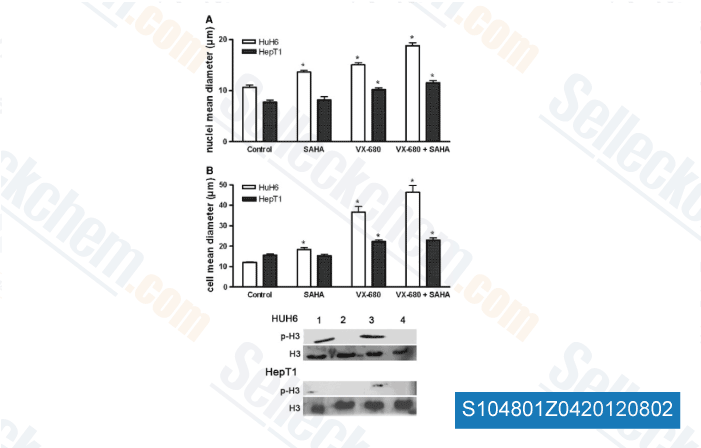 Tozasertib (VX-680, MK-0457) | オーロラ・キナーゼ 阻害剤