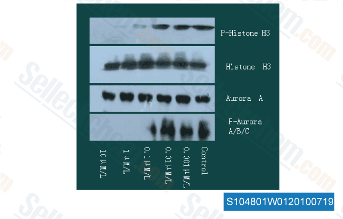 Tozasertib (VX-680, MK-0457) | オーロラ・キナーゼ 阻害剤