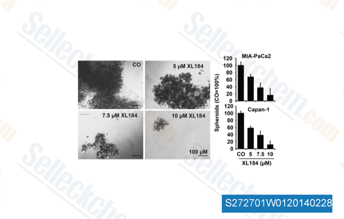 Cabozantinib malate (XL184) | VEGFR 阻害剤
